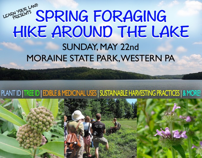 New Event: Spring Foraging Hike Around The Lake | Foraging Pittsburgh